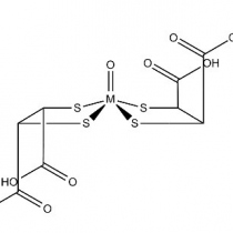 Actualidad y retos de la química de los complejos 99mTc,186/188Re-DMSA ...